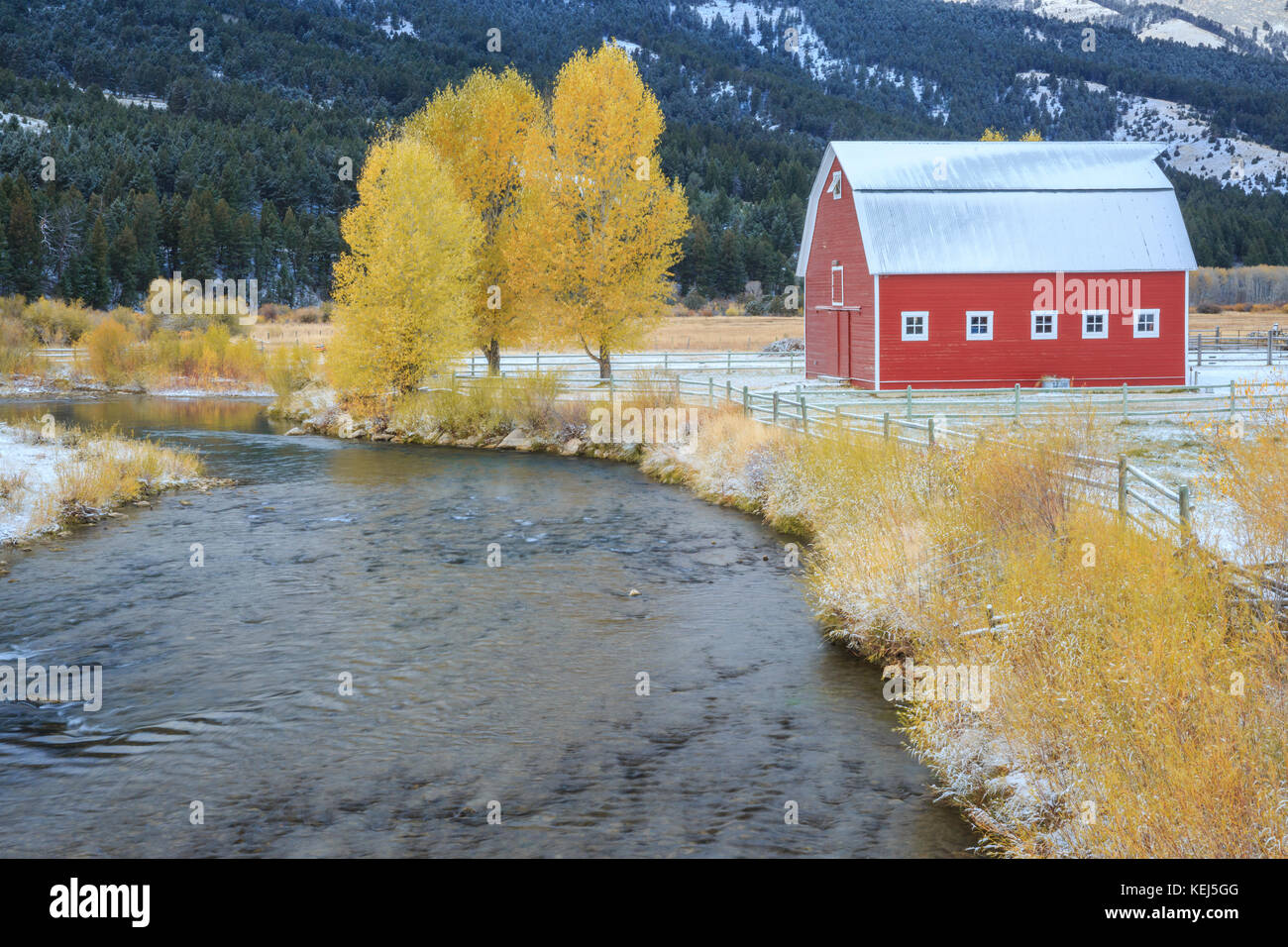 red barn and fall colors along the ruby river near alder, montana Stock ...