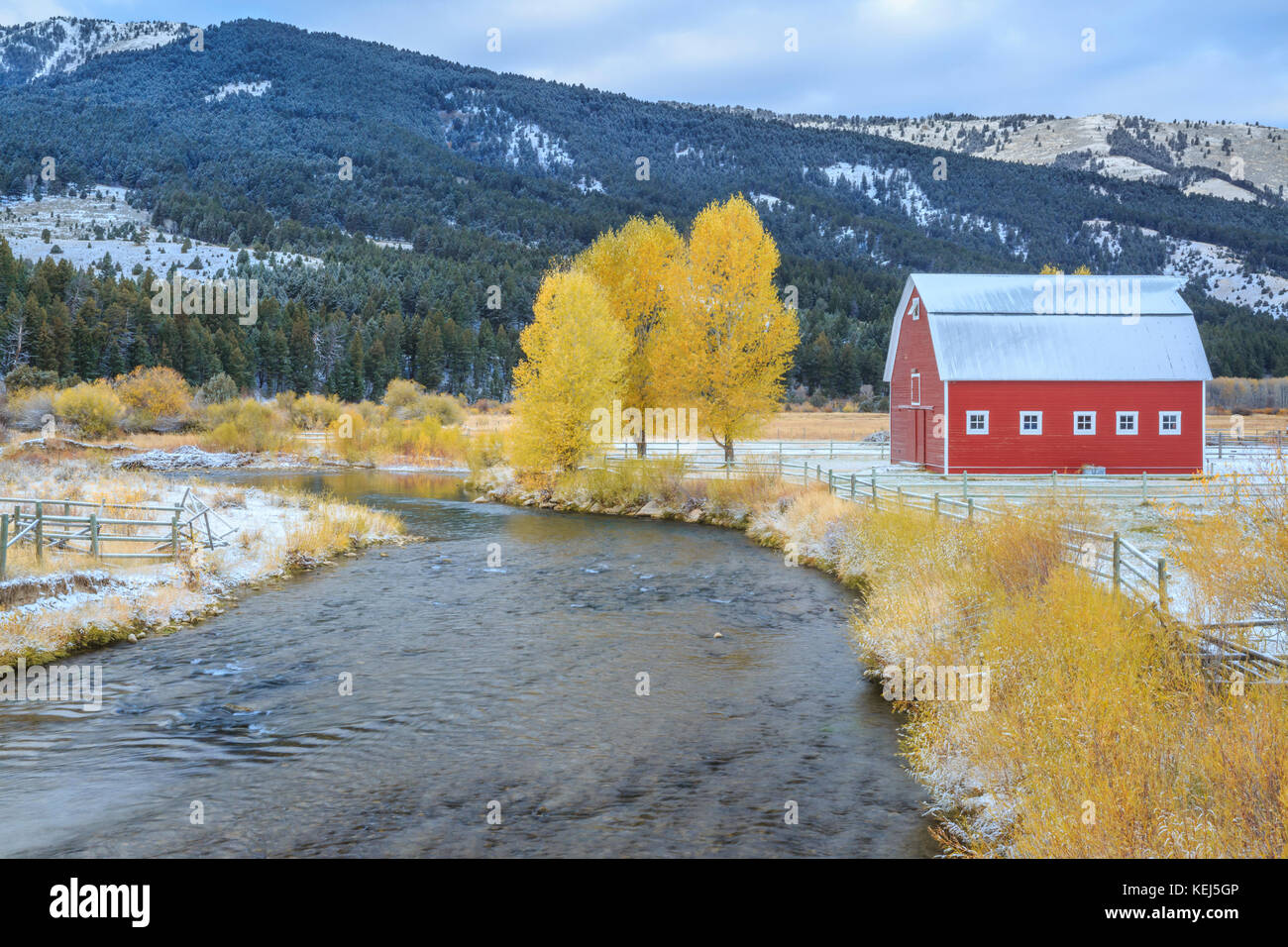 red barn and fall colors along the ruby river near alder, montana Stock ...
