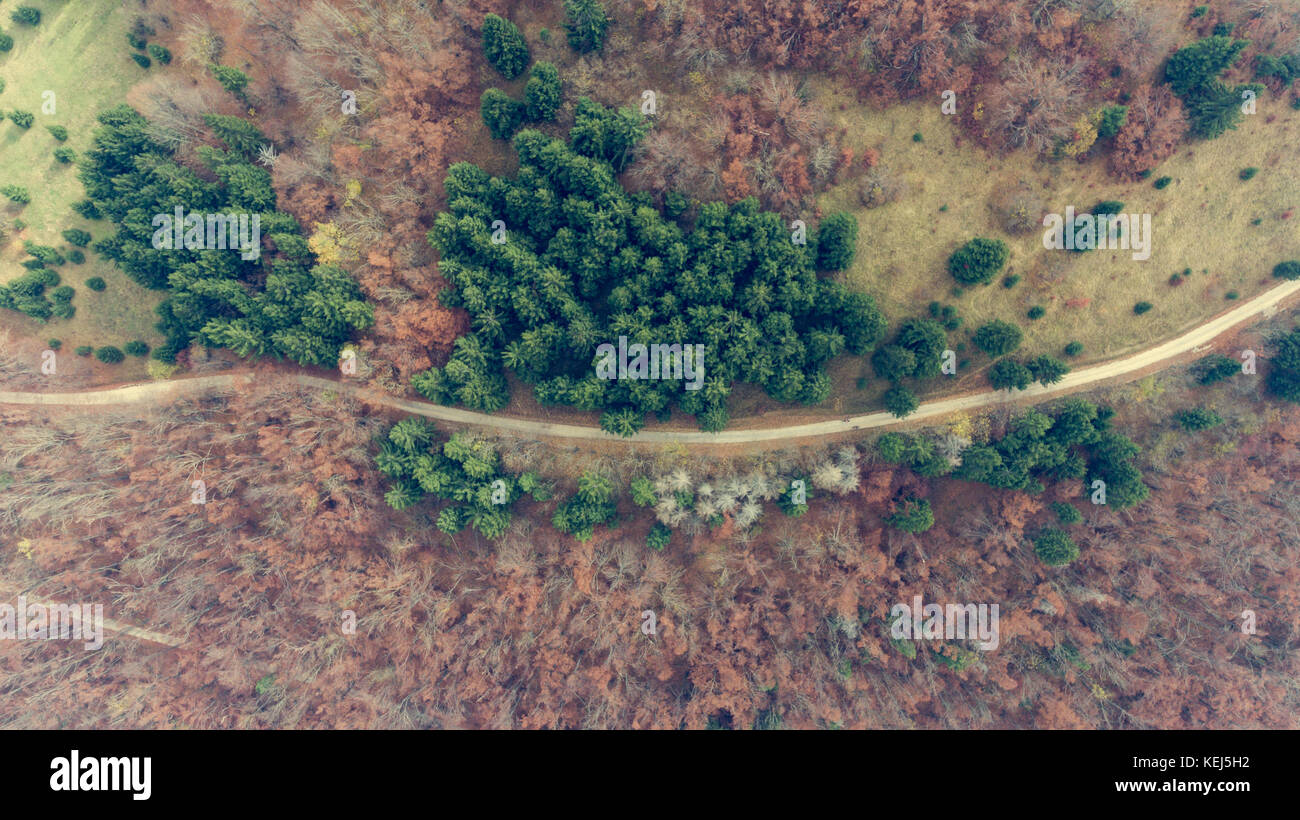 Aerial view of road through forest Stock Photo - Alamy
