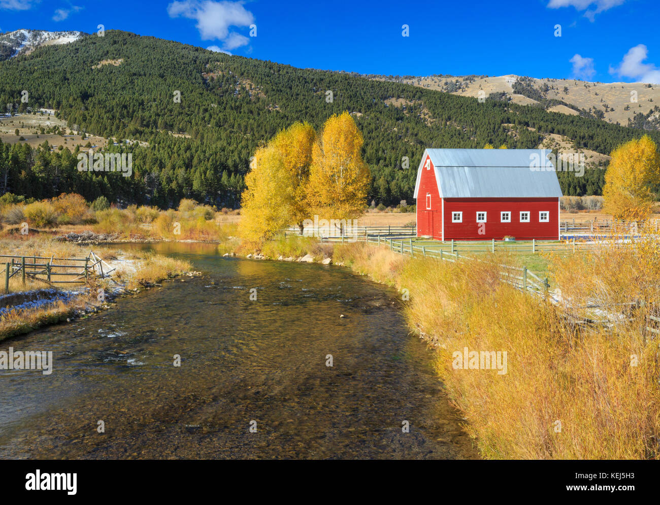 red barn and fall colors along the ruby river near alder, montana Stock ...