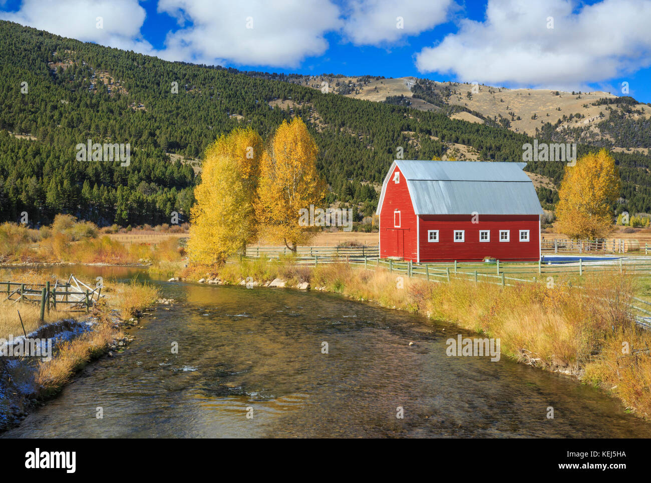 red barn and fall colors along the ruby river near alder, montana Stock ...