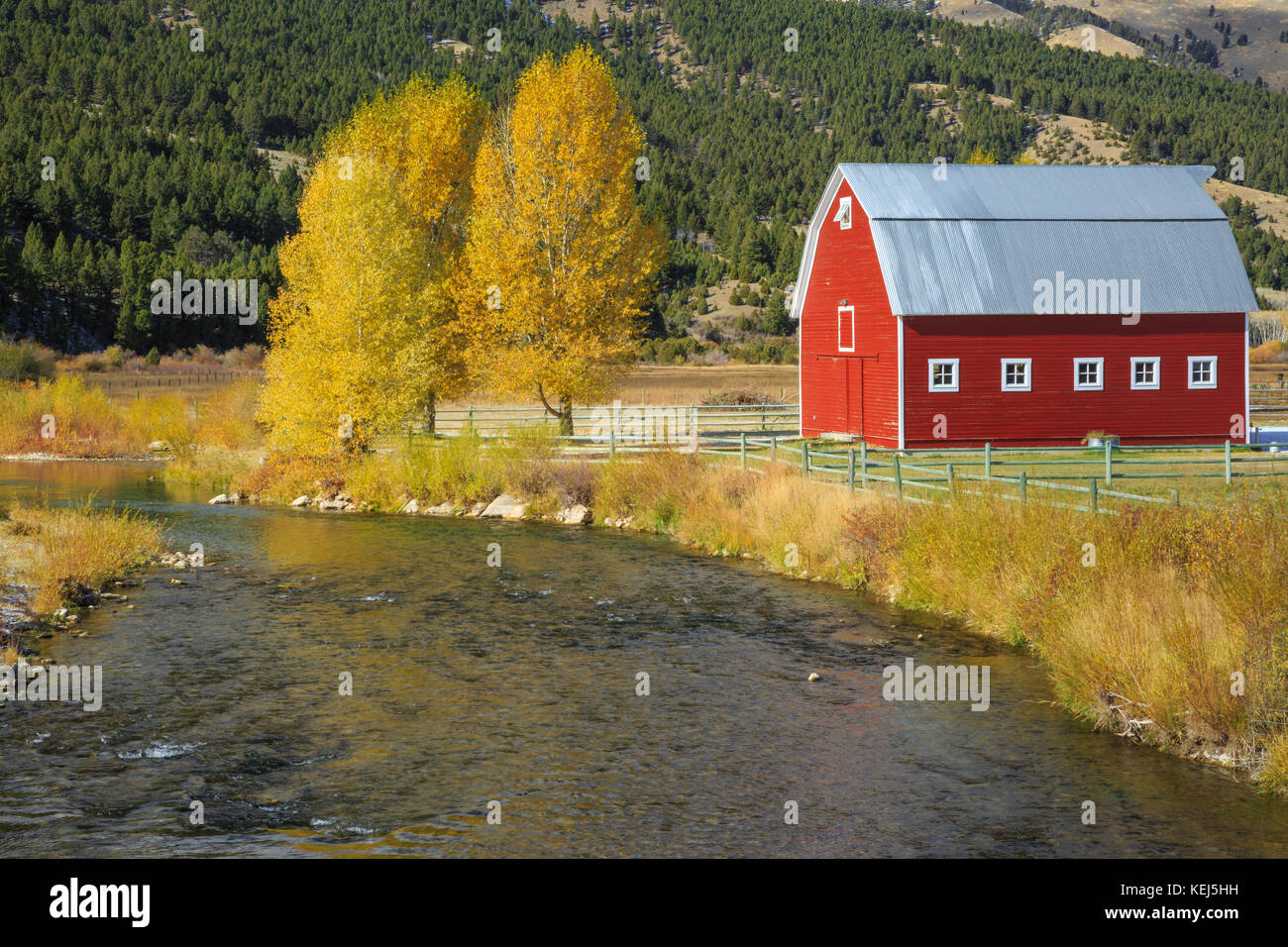 red barn and fall colors along the ruby river near alder, montana Stock ...