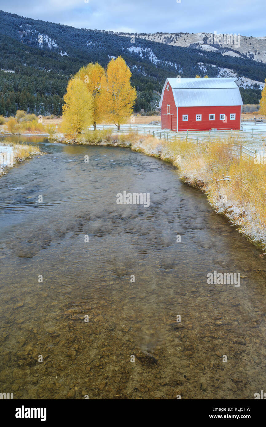 red barn and fall colors along the ruby river near alder, montana Stock ...