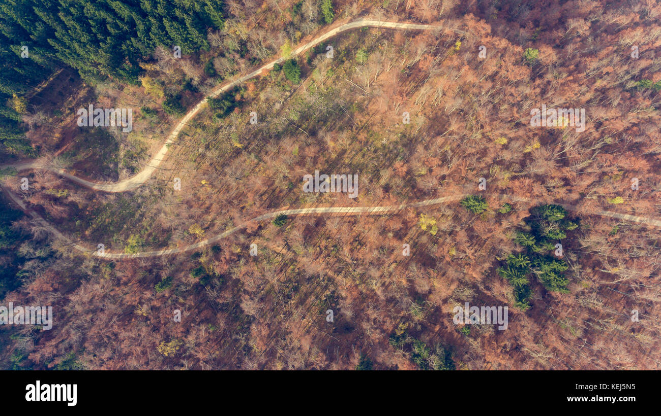 Top view of a road through forest Stock Photo - Alamy