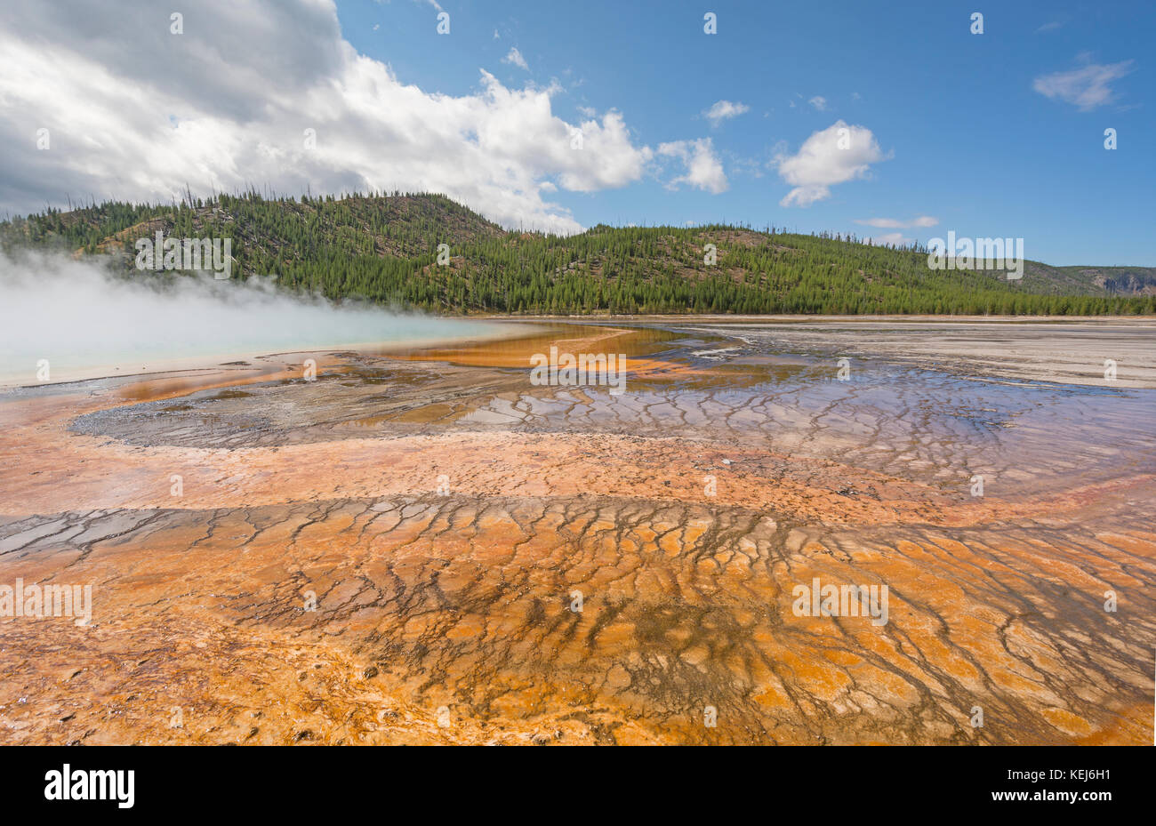 Colorful Pools of the Grand Prismatic Spring in the Midway Geyser Basin ...