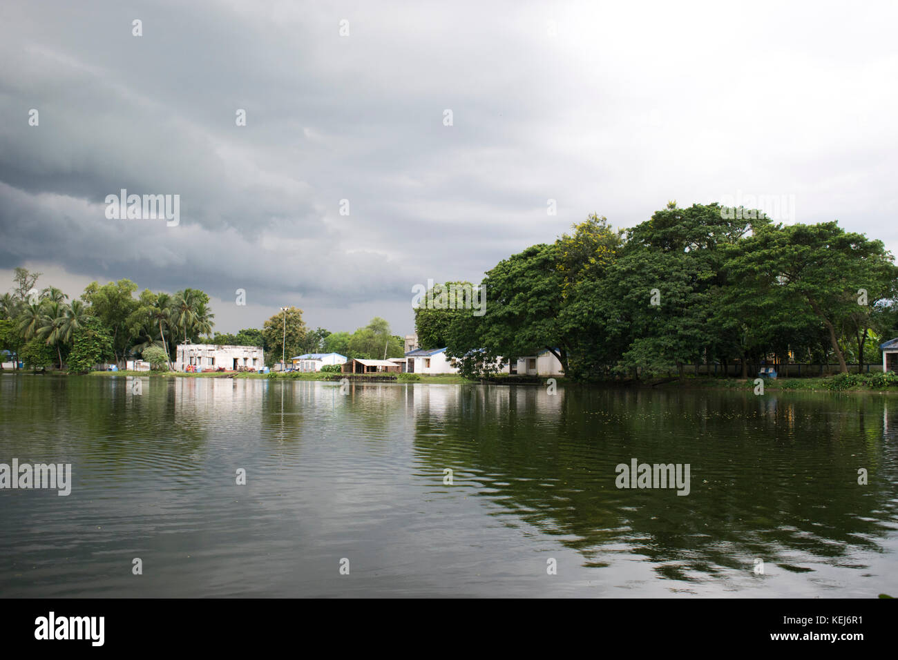 landscape trees green water reflection lake pond water body mirror sky ...