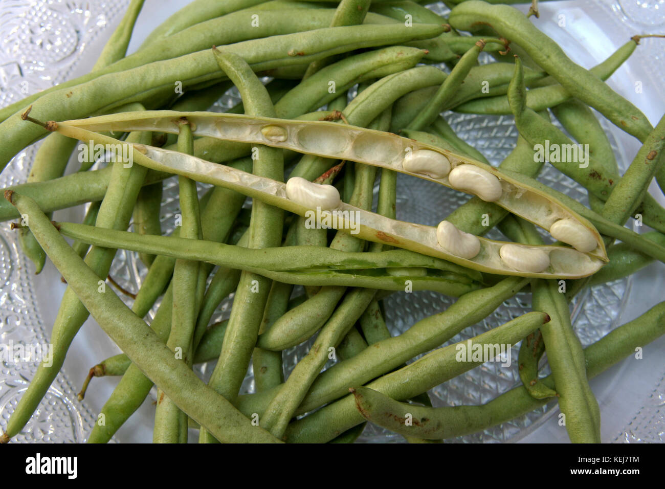 Kidney shaped seeds hi-res stock photography and images - Alamy