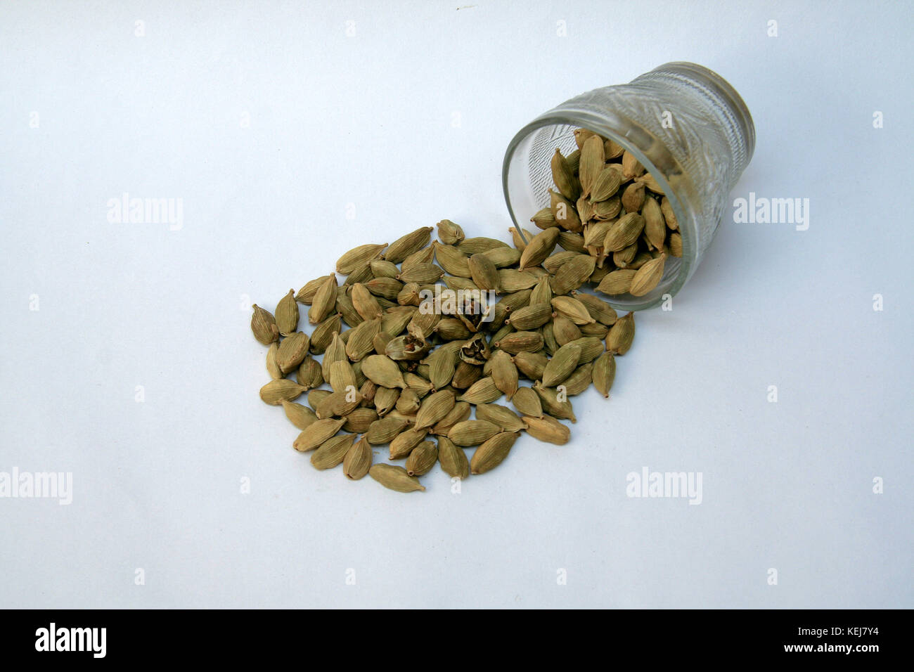 Cardamom or Cardamum is aromatic Asian plant, Elettaria cardamomum ...