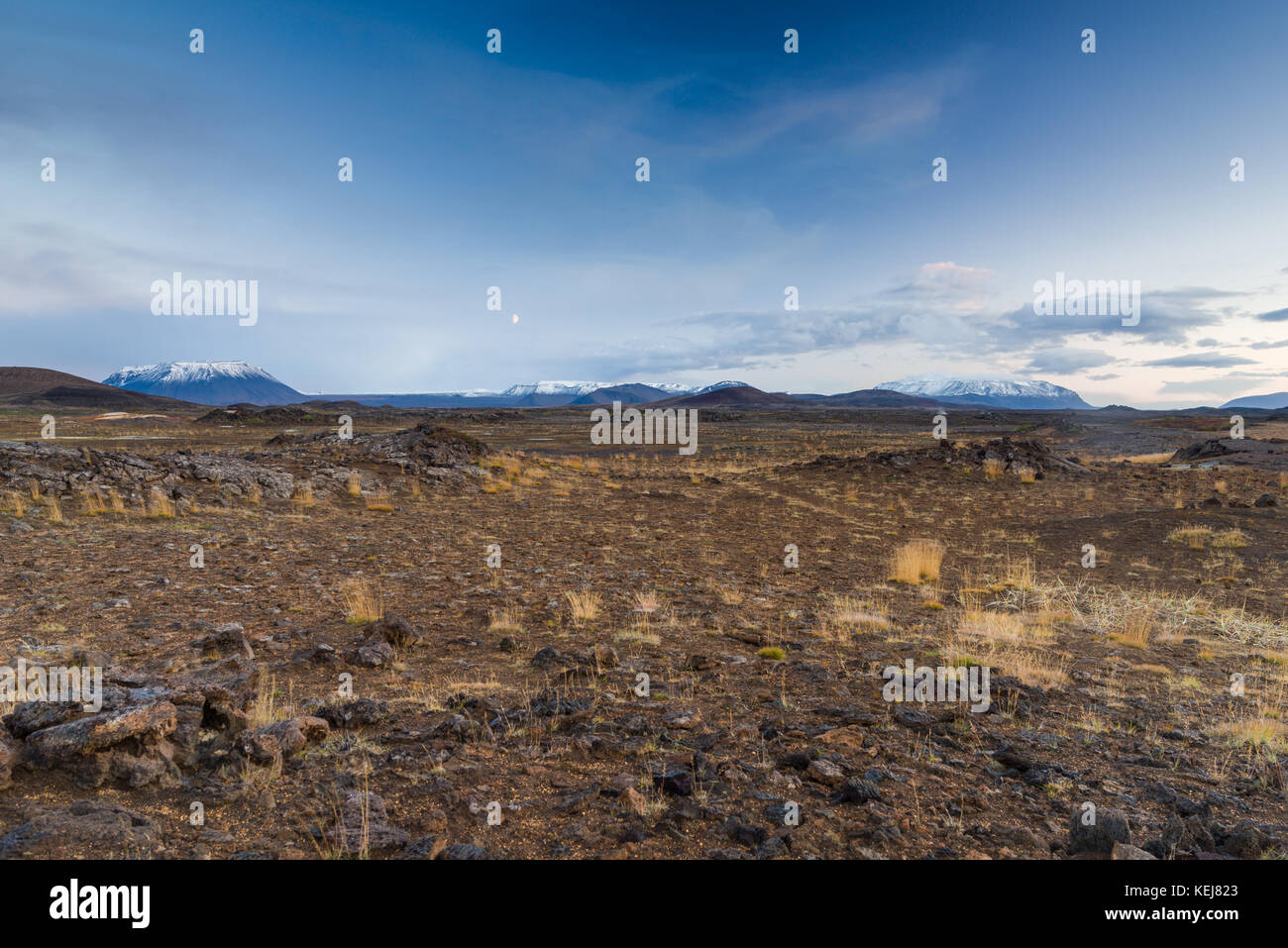Desolate landscape area near Myvatn, iceland Stock Photo - Alamy