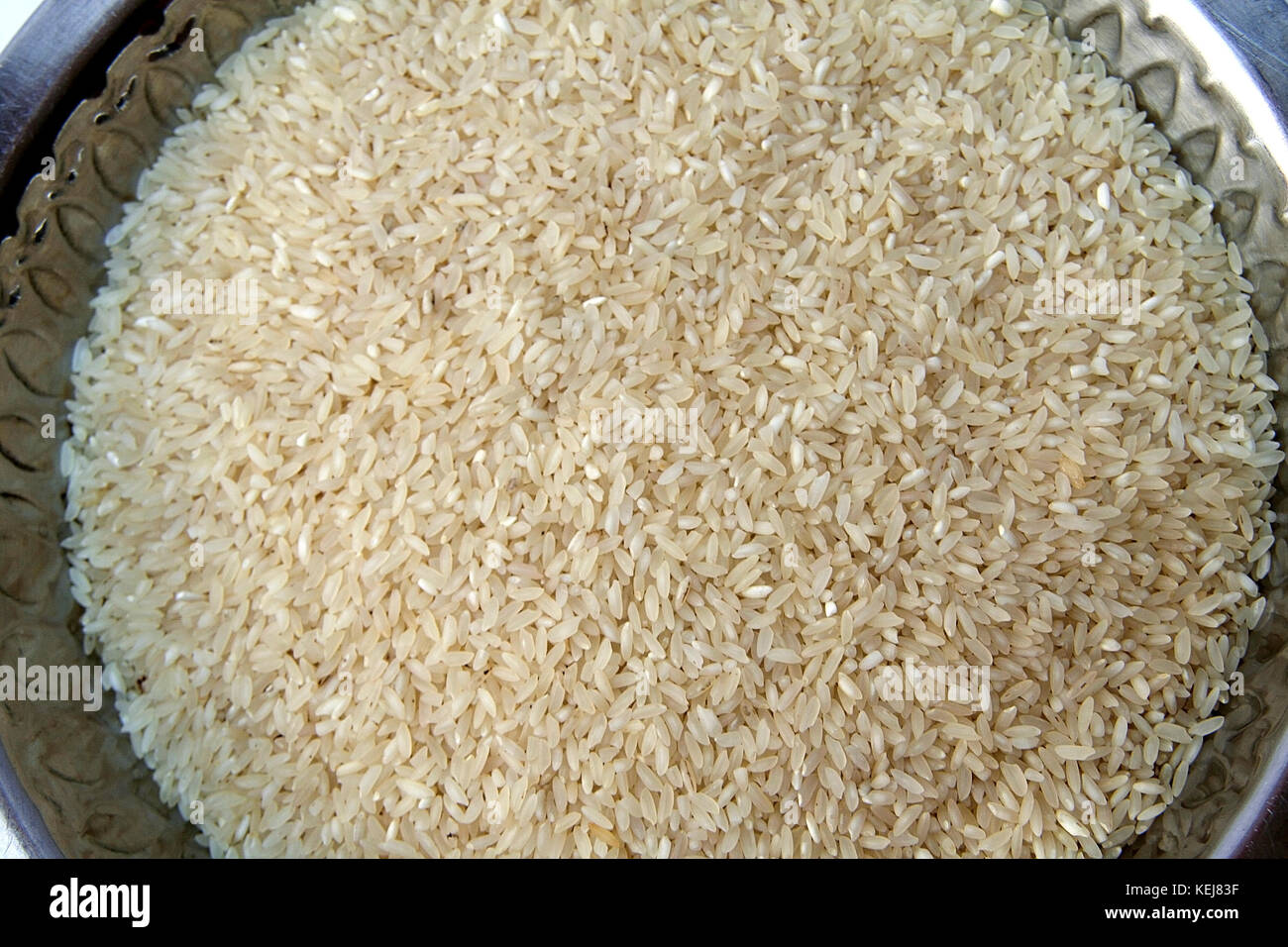 Rice. Oryza sativa, cultivated in marshes, esp. in Asia is used as ...