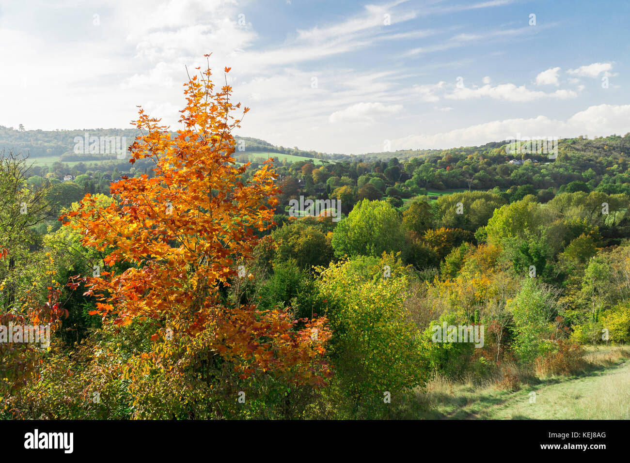 Surrey hills autumn hi-res stock photography and images - Alamy