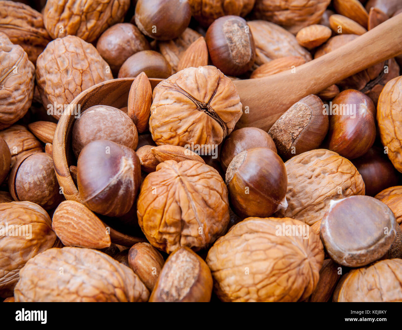 Background with different kinds of nuts walnuts kernels ,macadamia ...