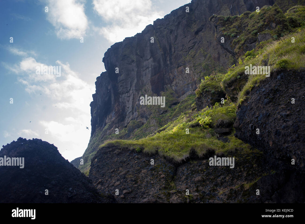 Iceland, high mountain cliff.. Beautiful landscape ocean and rocks ...