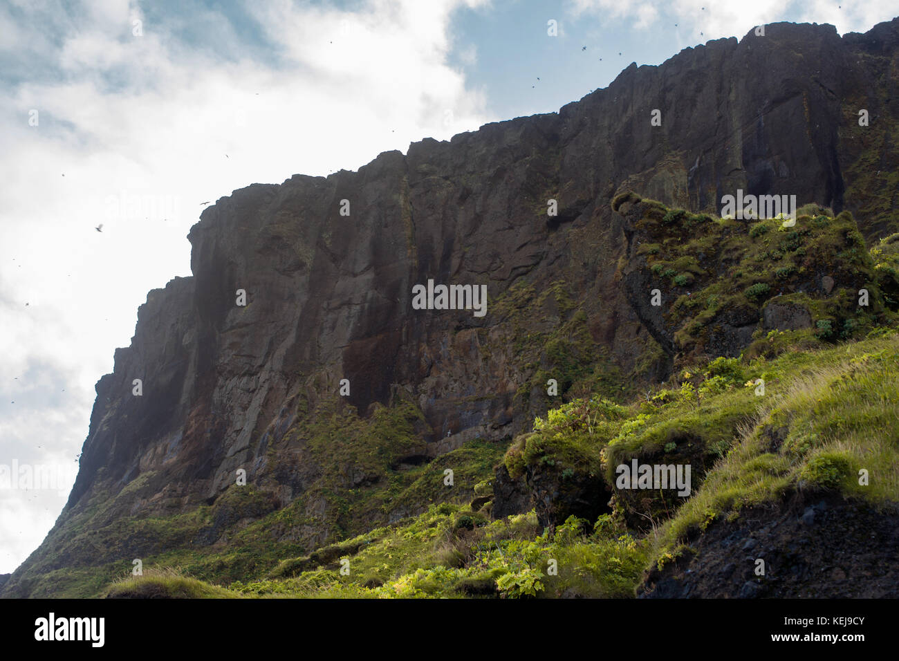 Iceland, high mountain cliff.. Beautiful landscape ocean and rocks ...
