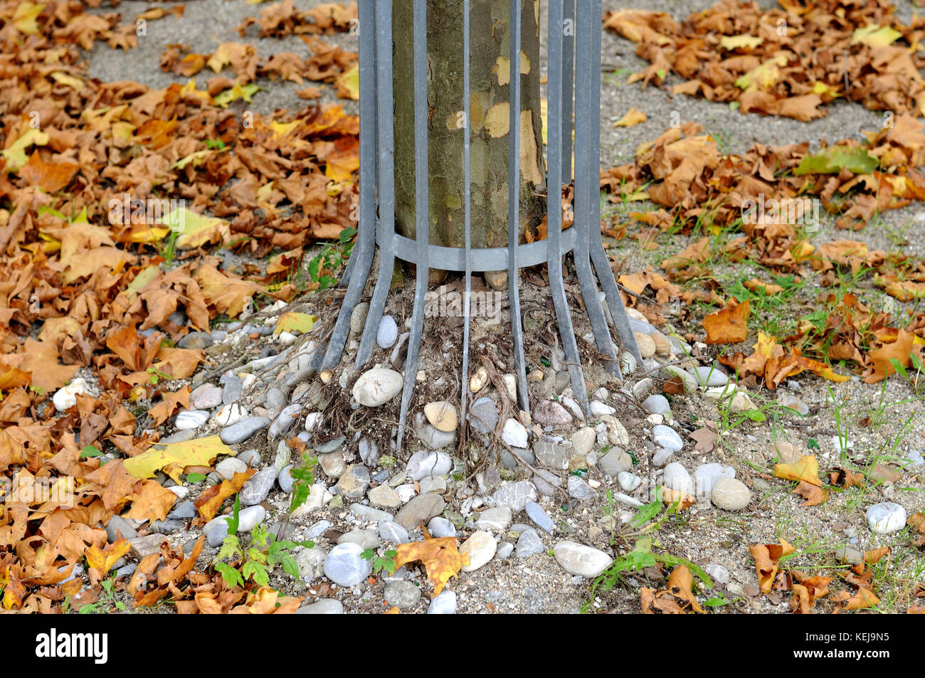 Protective grid hi-res stock photography and images - Alamy