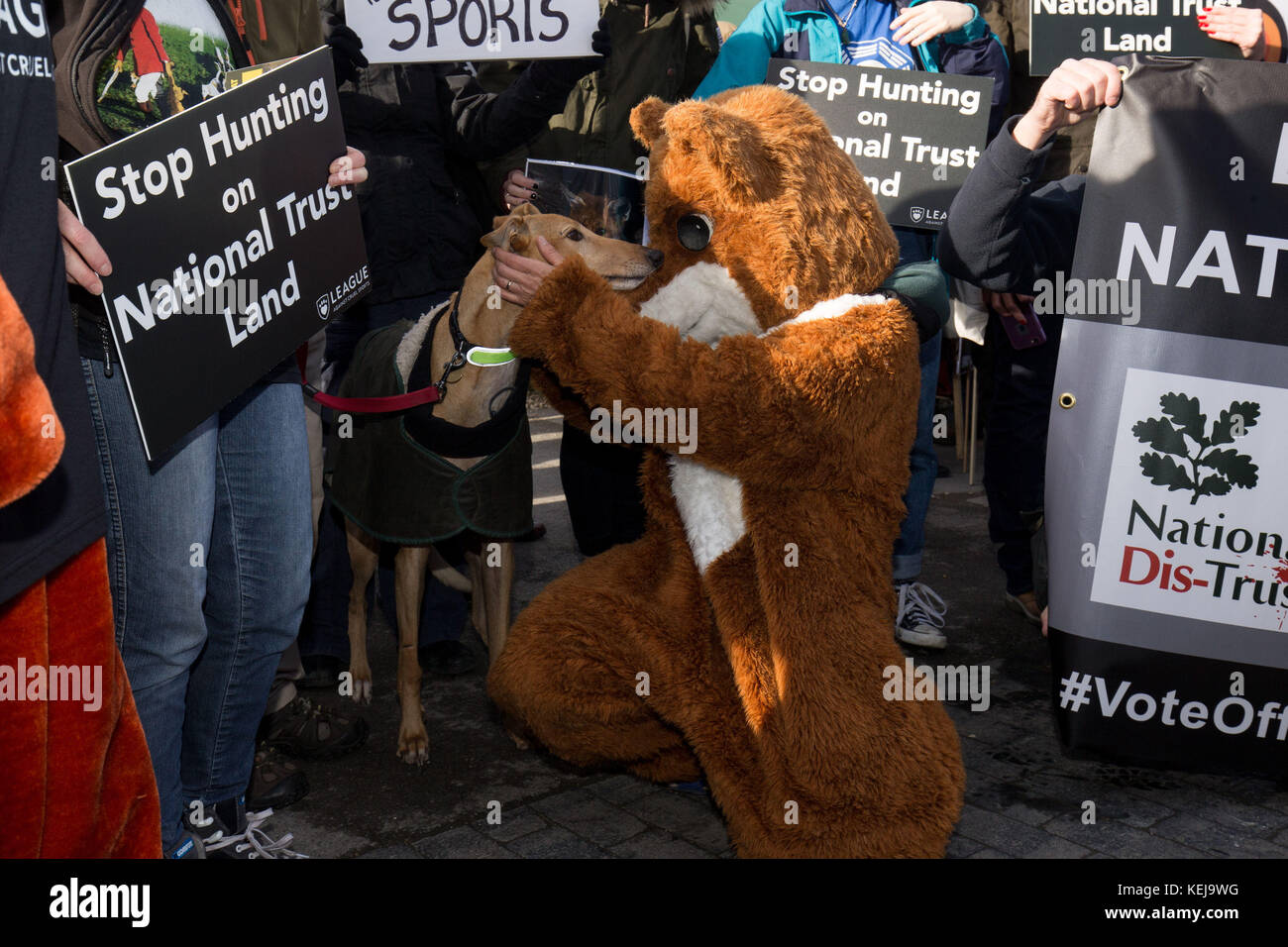 Anti hunt campaigners outside national trust agm steam museum High ...