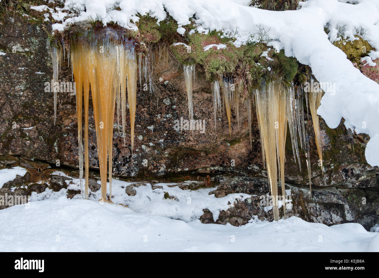brown colored icicles hanging from a cliff with snow in foreground and ...