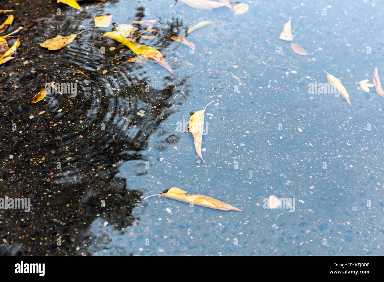 Water puddle hi-res stock photography and images - Alamy