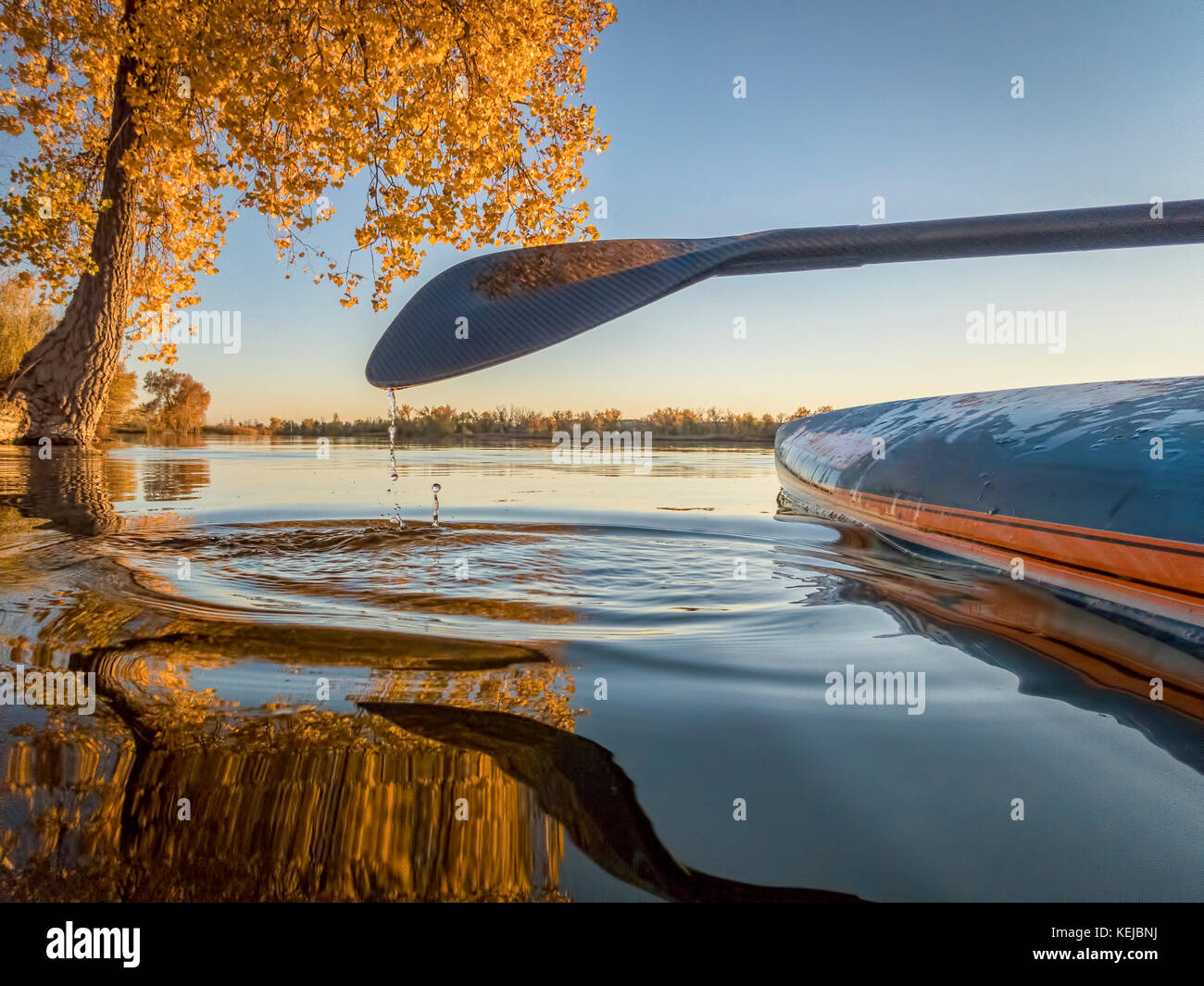 Stand up paddleboard with a carbon fiber paddle on a lake with fall ...