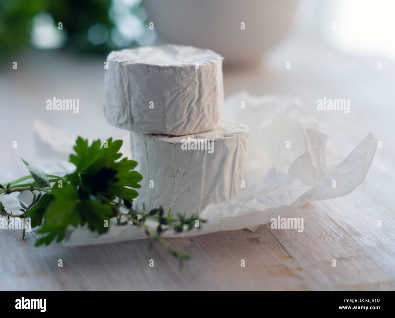 Farmed goat hi-res stock photography and images - Alamy