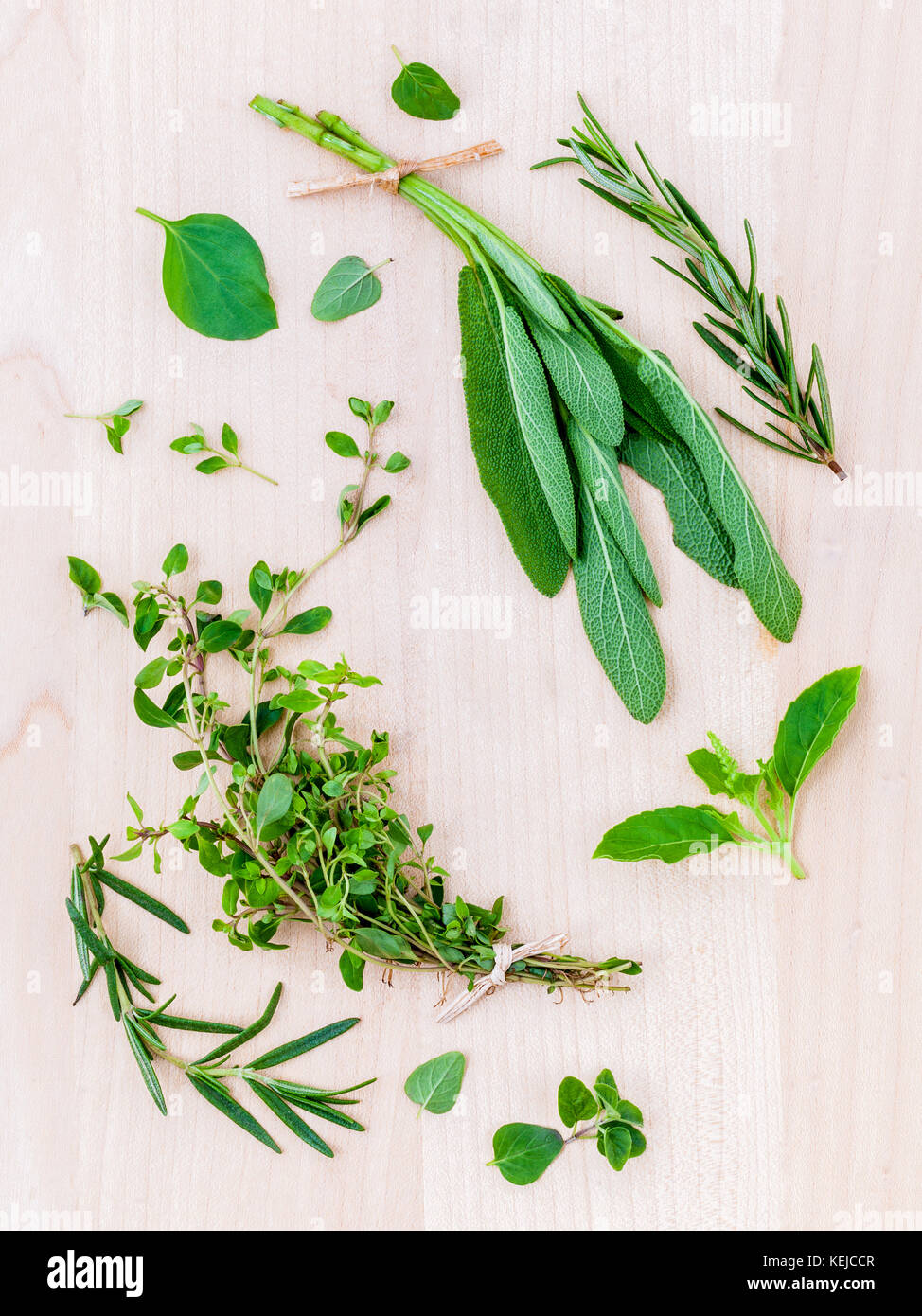 Various fresh herbs from the garden holy basil , basil ,rosemary ...