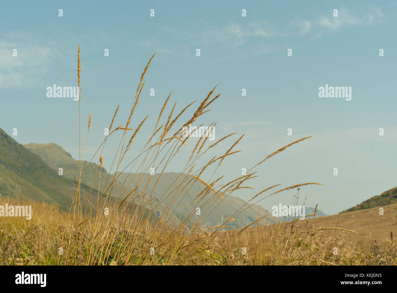 view of the distant blurry sunlit mountain ranges through dry grass ...