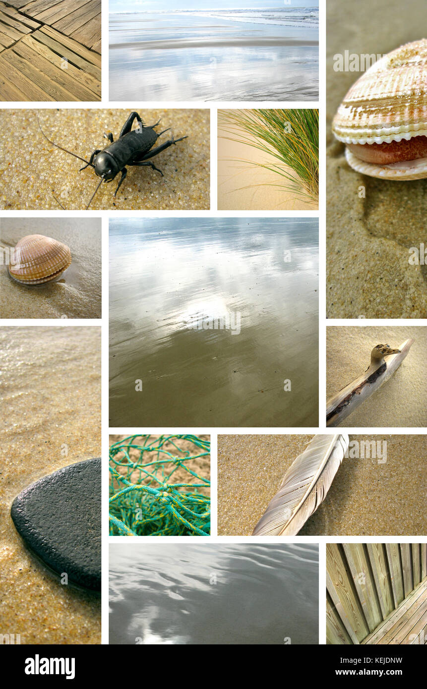 Many images on a collage about beach theme Stock Photo - Alamy
