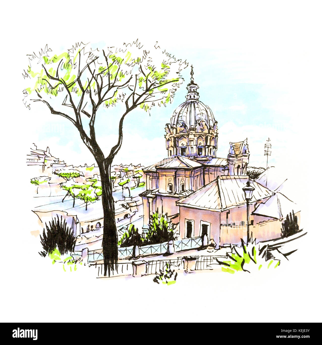 The roman pine Cut Out Stock Images & Pictures - Alamy