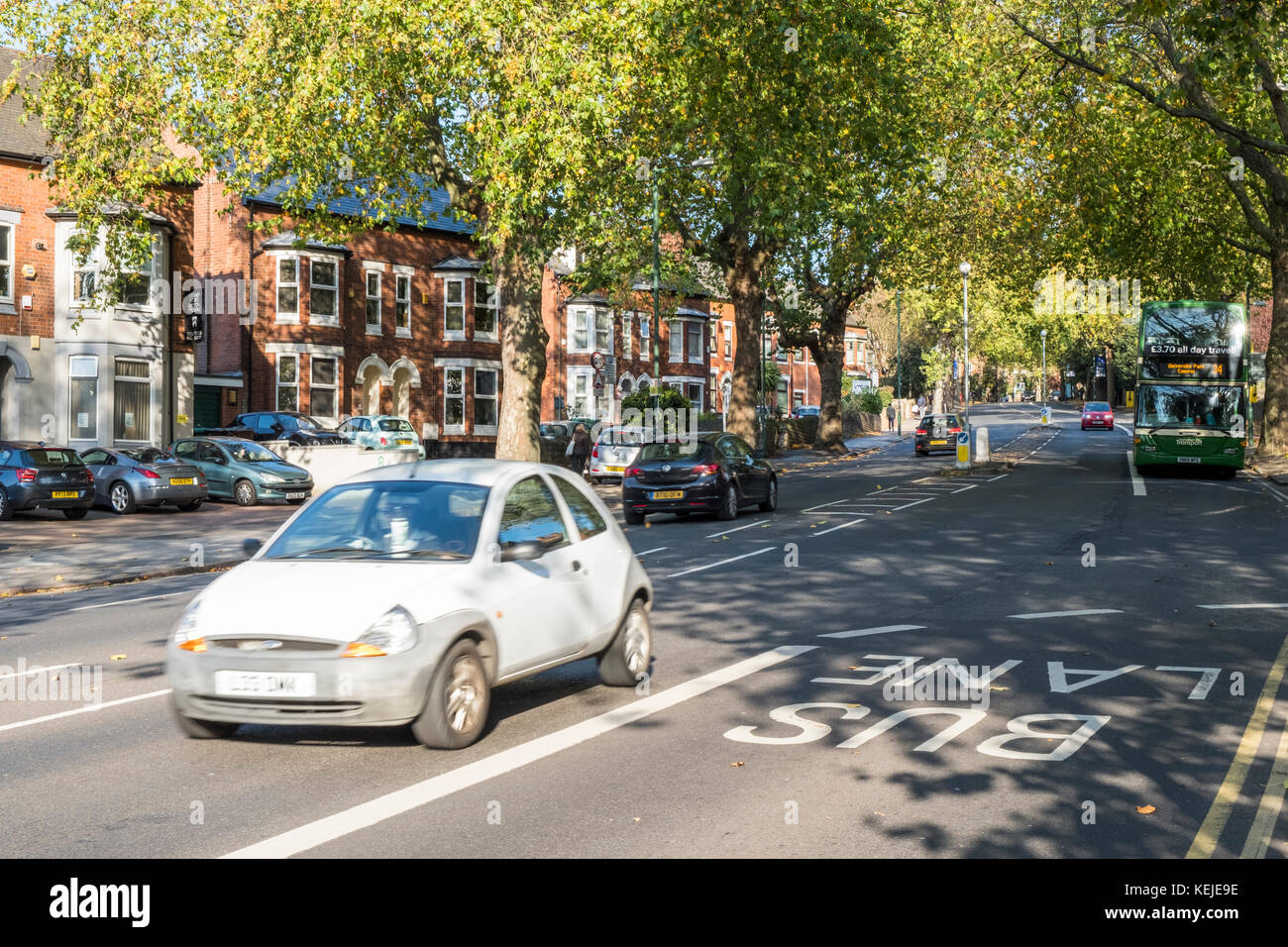 A tree lined road hi-res stock photography and images - Alamy