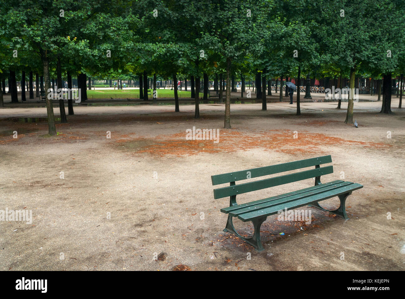Benches in a park along the Champs Elysees, Paris, France Stock Photo ...