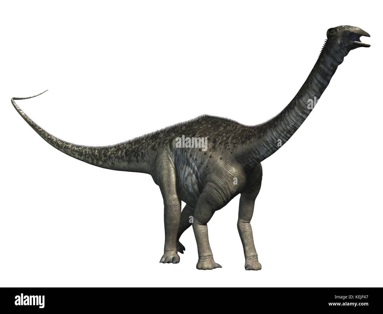 Nigersaurus hi-res stock photography and images - Alamy
