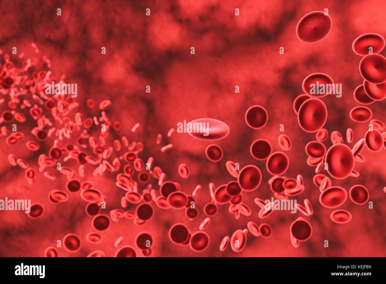 a close up of blood cells Stock Photo - Alamy