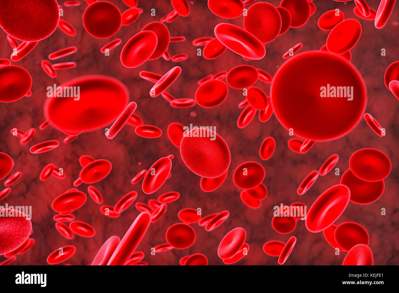 a close up of blood cells Stock Photo - Alamy