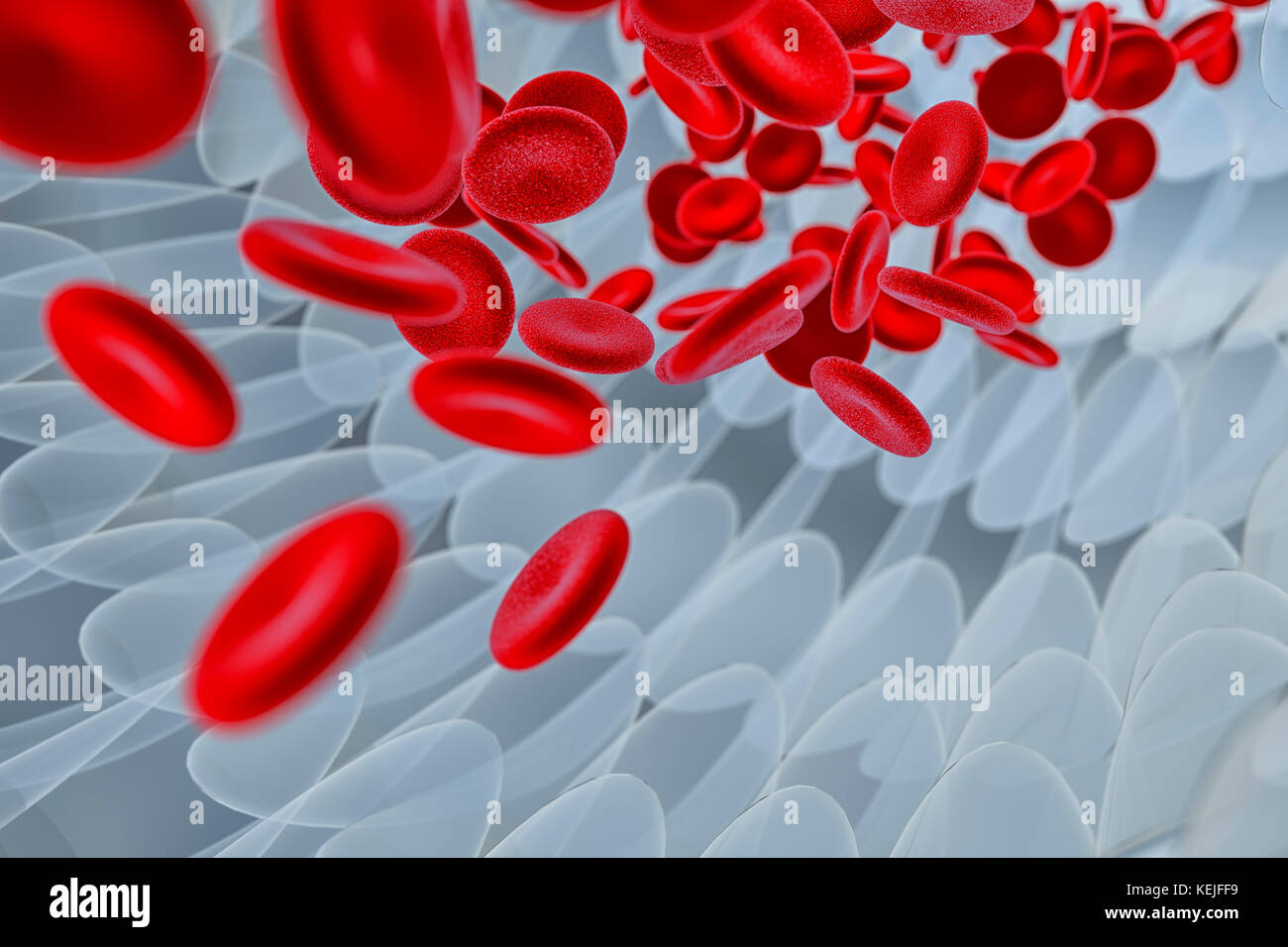 a close up of blood cells Stock Photo - Alamy