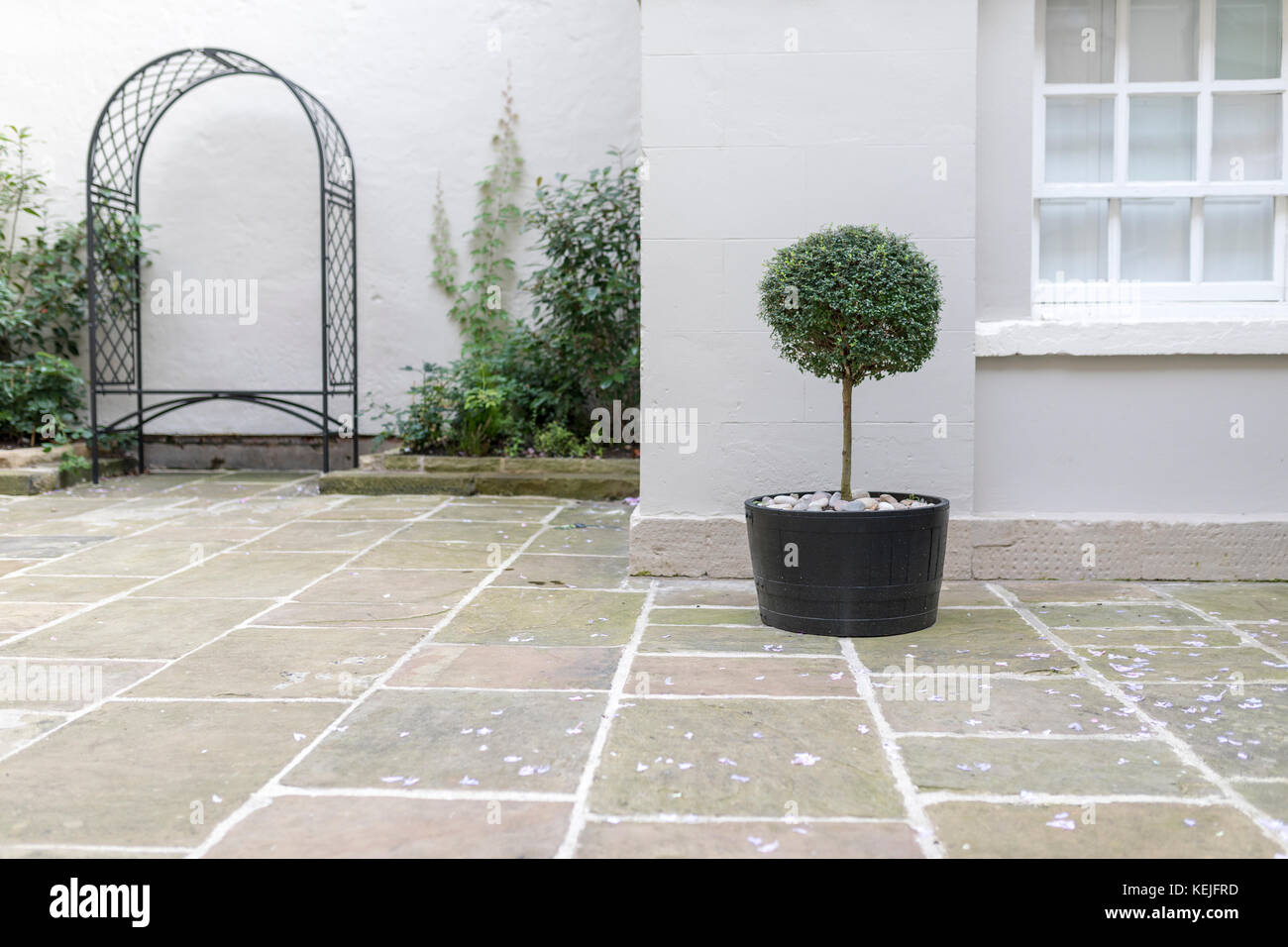 Lollipop topiary hi-res stock photography and images - Alamy