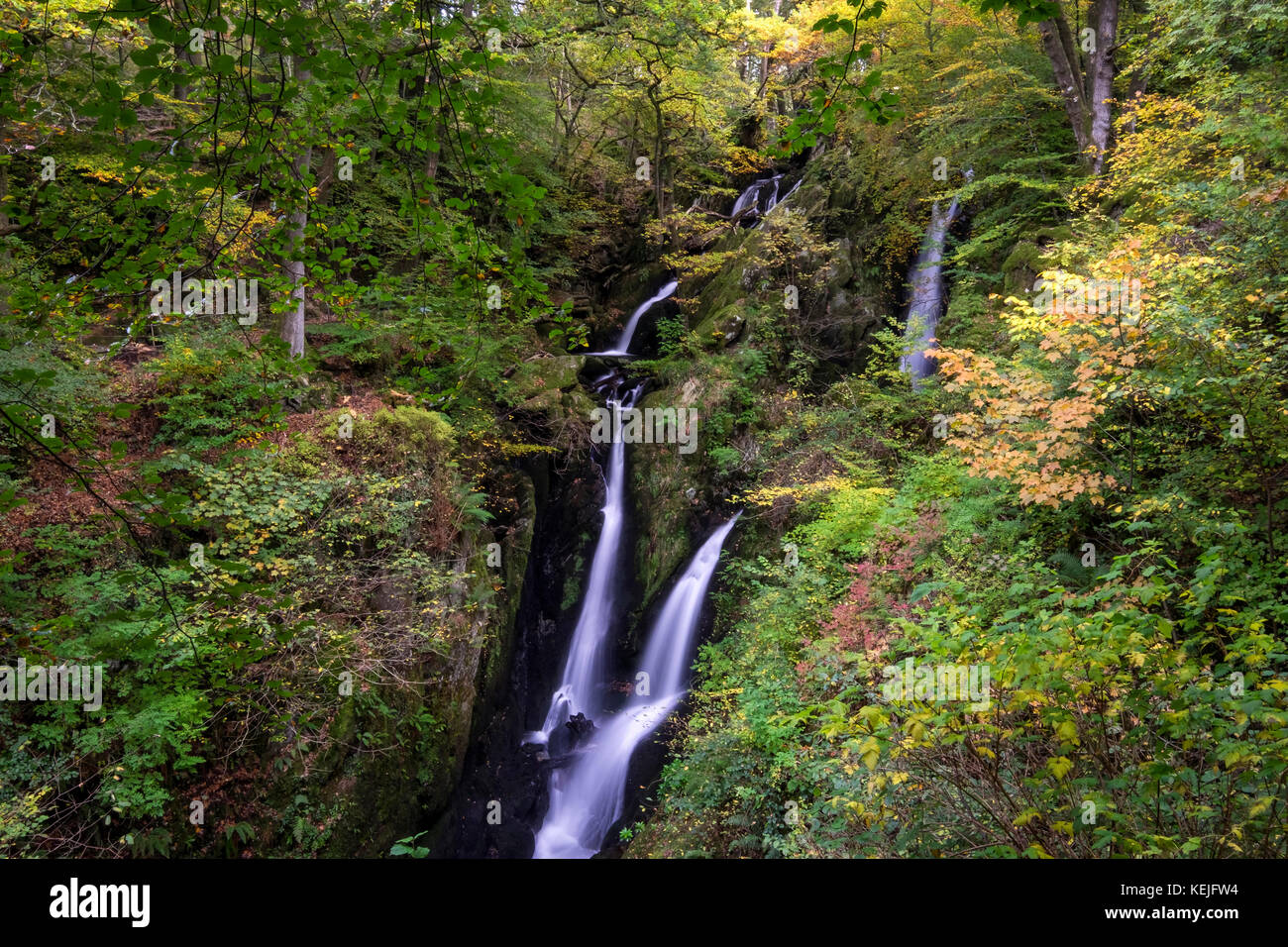 Stock Ghyll Force waterfall in autumn, near Ambleside, Lake District ...
