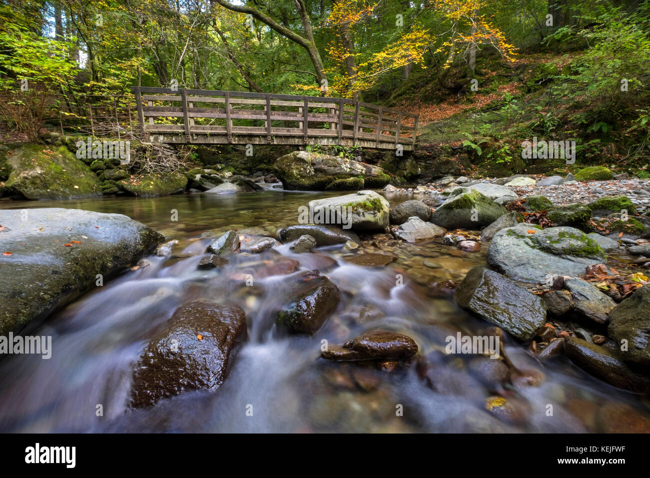 River beck hi-res stock photography and images - Alamy