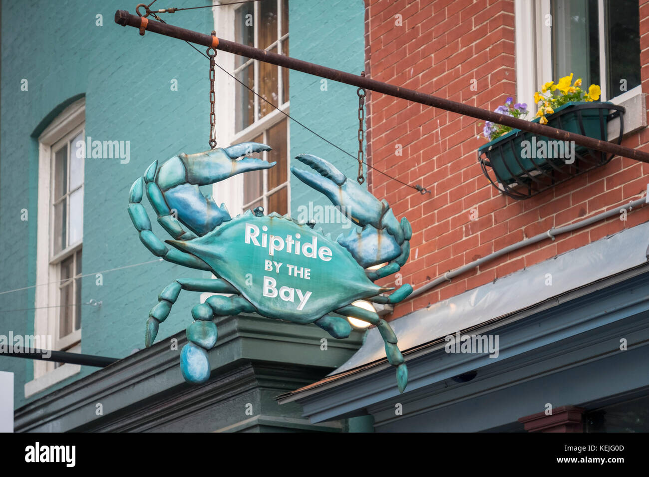 Blue crab hi-res stock photography and images - Alamy