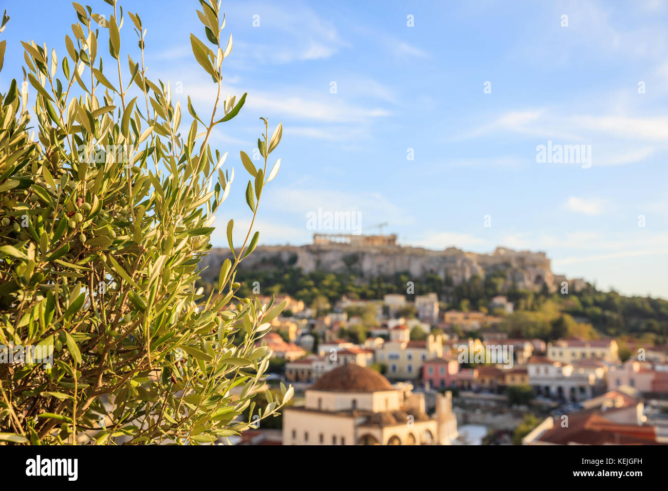 Athens, Greece. Olive tree closeup on Acropolis and Monastiraki ...