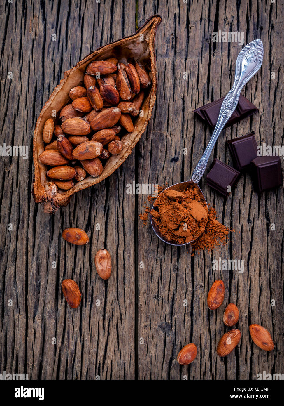 Brown chocolate powder in spoon , Roasted cocoa beans in the dry cocoa ...