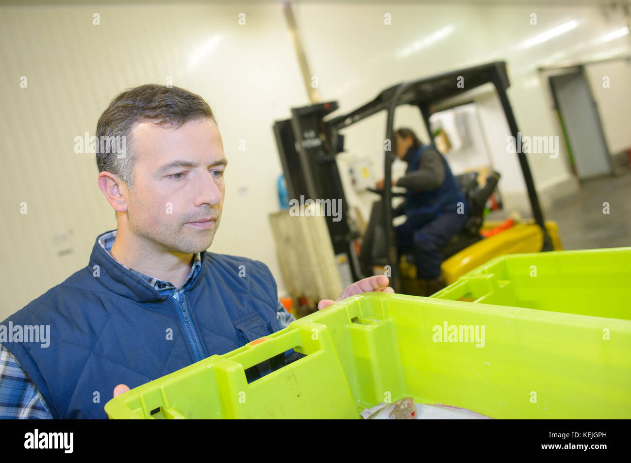 worker receiving fresh delivery Stock Photo - Alamy