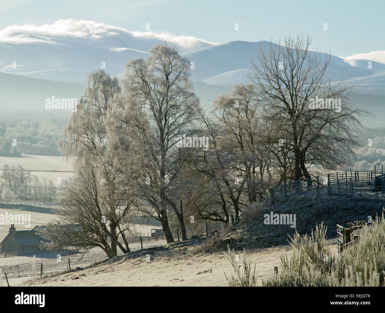 Cairngorm Winter Scene, Scotland Stock Photo - Alamy
