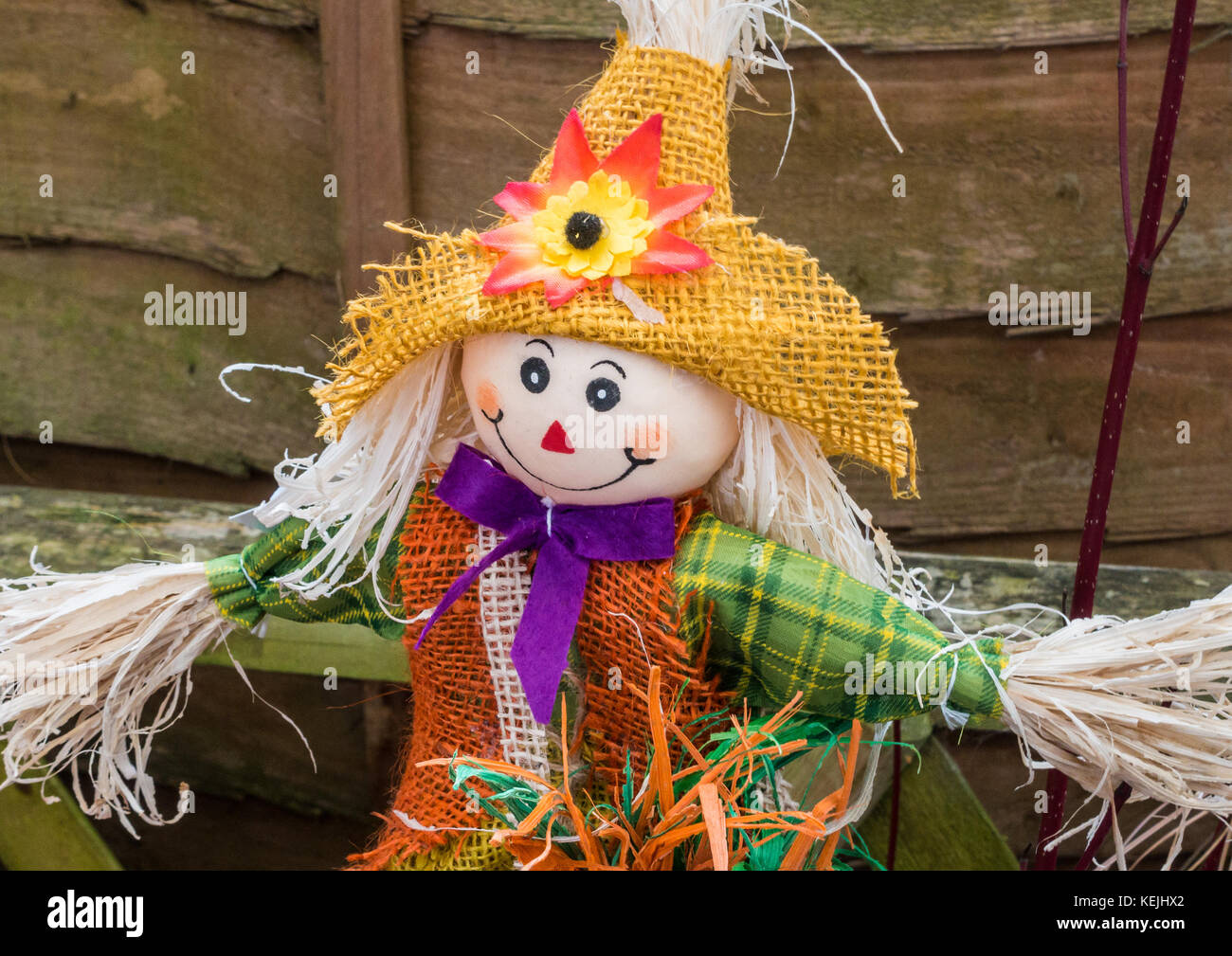 A close-up shot of a colourful looking scarecrow Stock Photo - Alamy