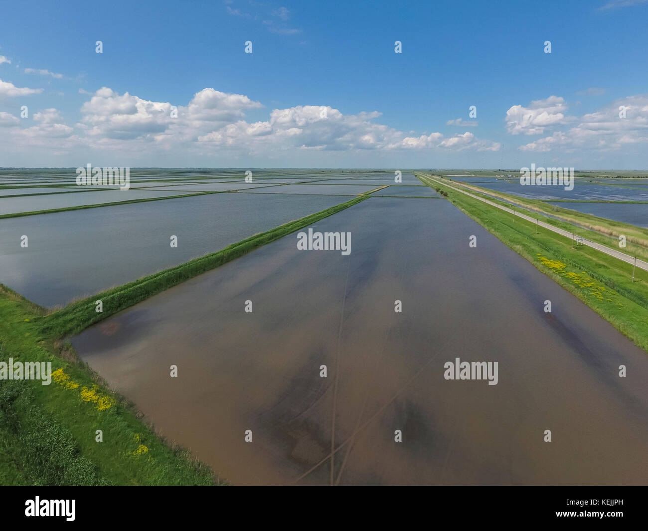 Flooded rice paddies. Agronomic methods of growing rice in the fields ...