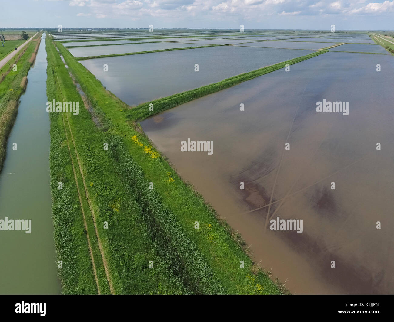 Flooded rice paddies. Agronomic methods of growing rice in the fields ...