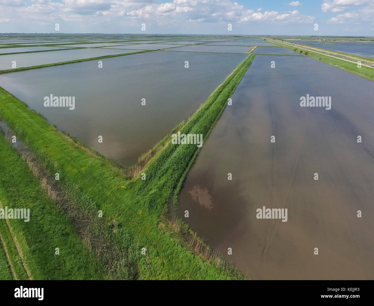 Flooded rice paddies. Agronomic methods of growing rice in the fields ...