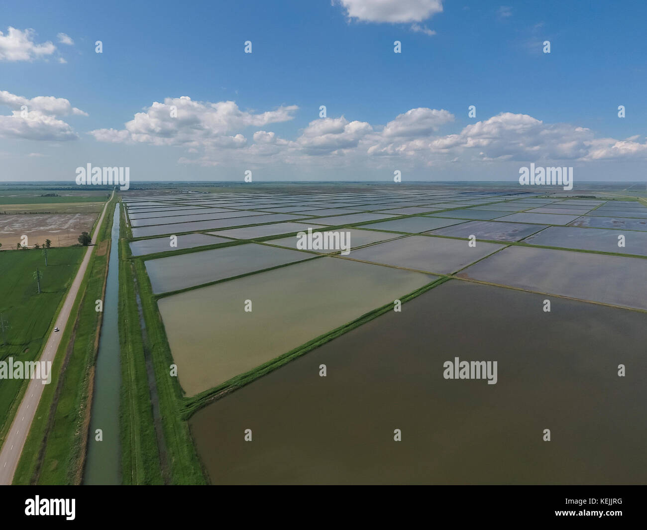 Flooded rice paddies. Agronomic methods of growing rice in the fields ...