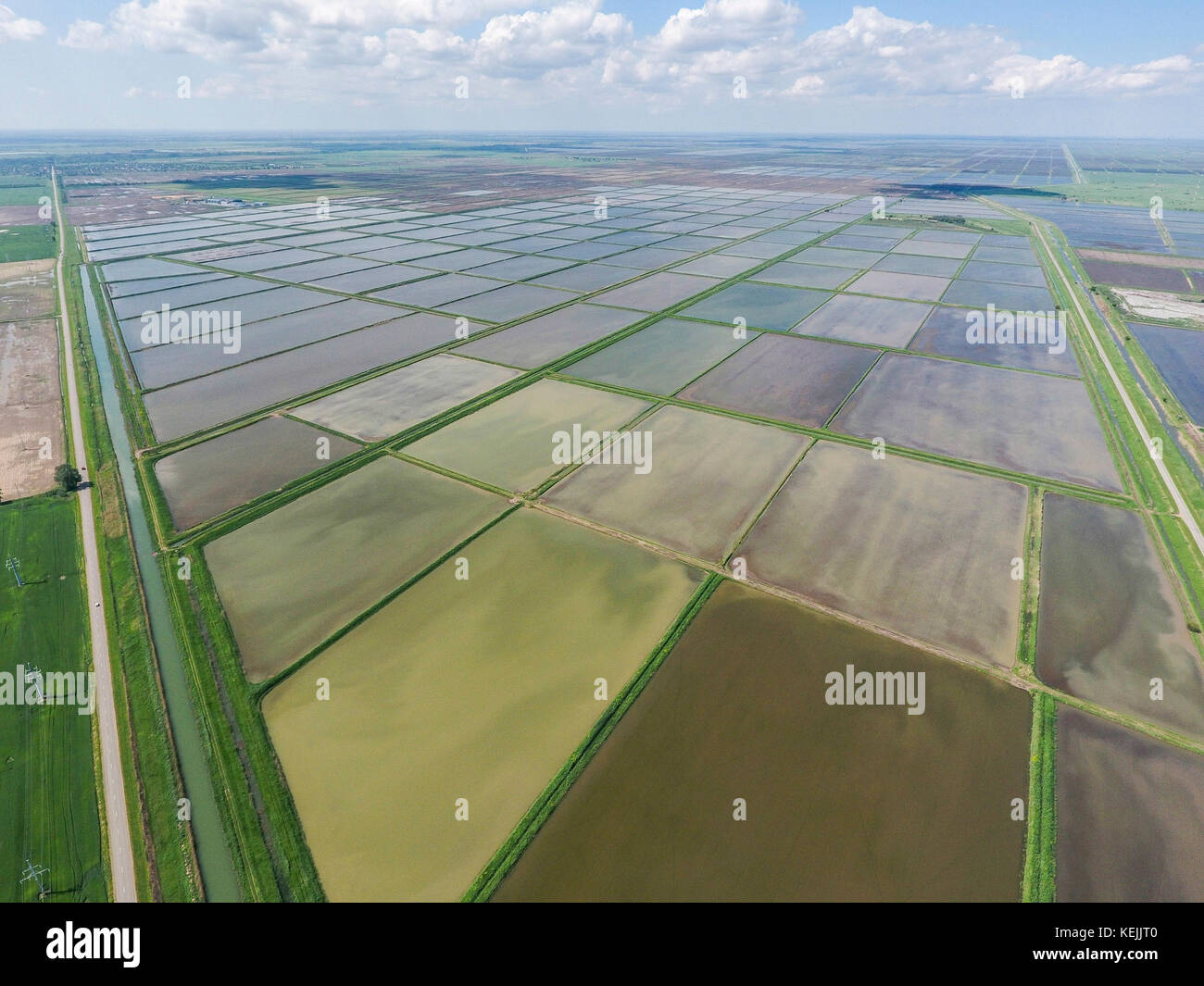 Flooded rice paddies. Agronomic methods of growing rice in the fields ...