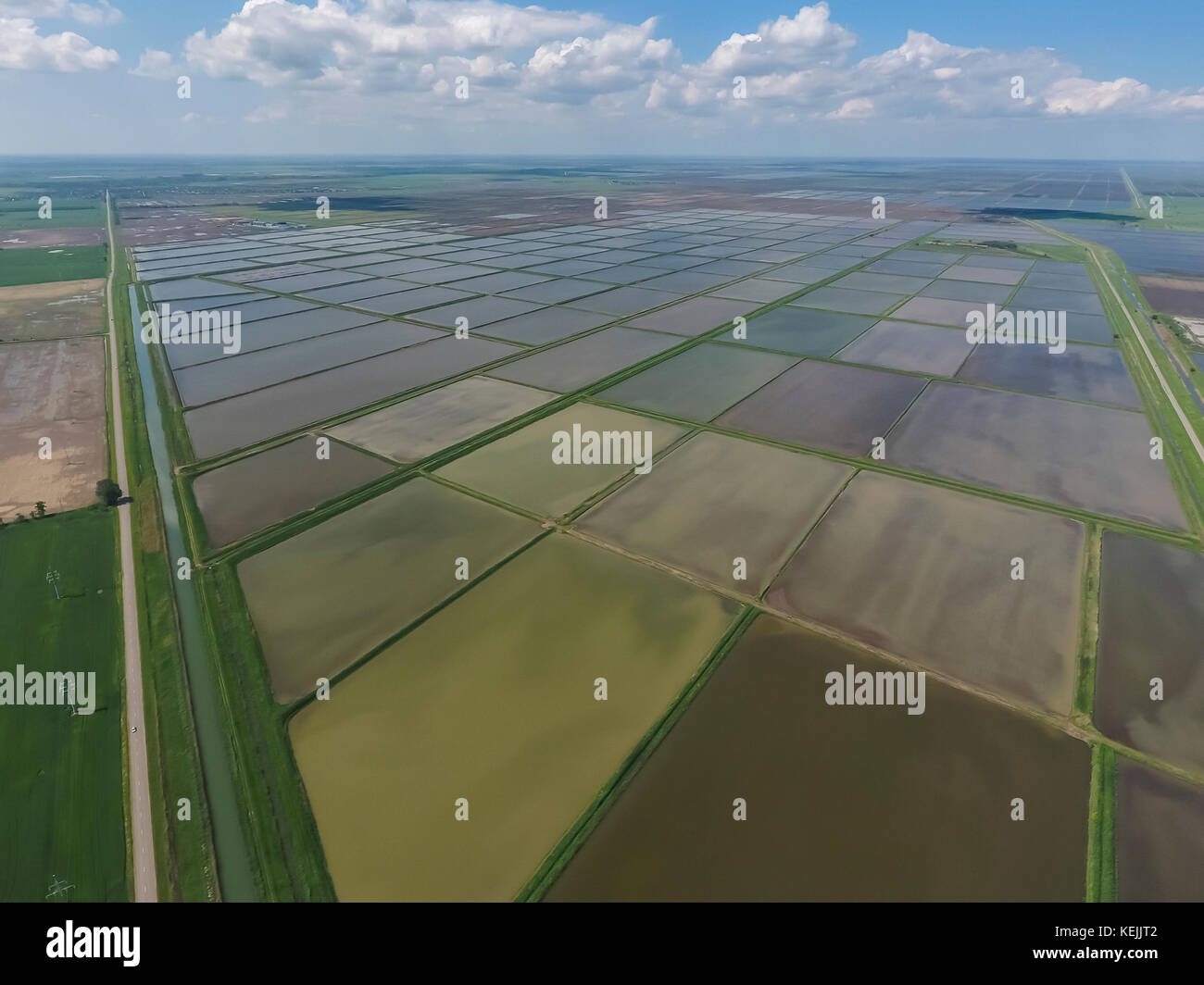 Flooded rice paddies. Agronomic methods of growing rice in the fields ...