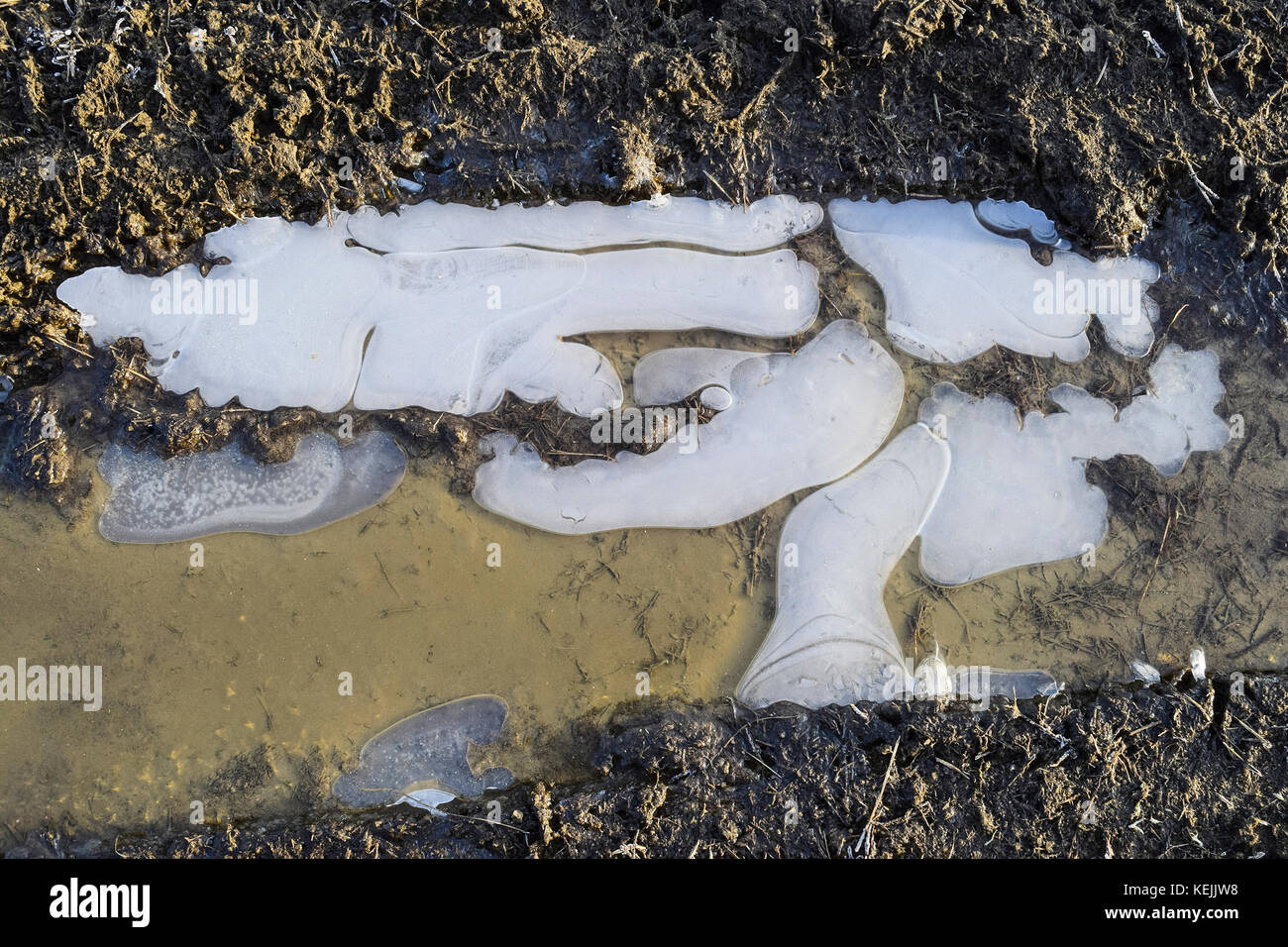 Ice on muddy puddle on hi-res stock photography and images - Alamy